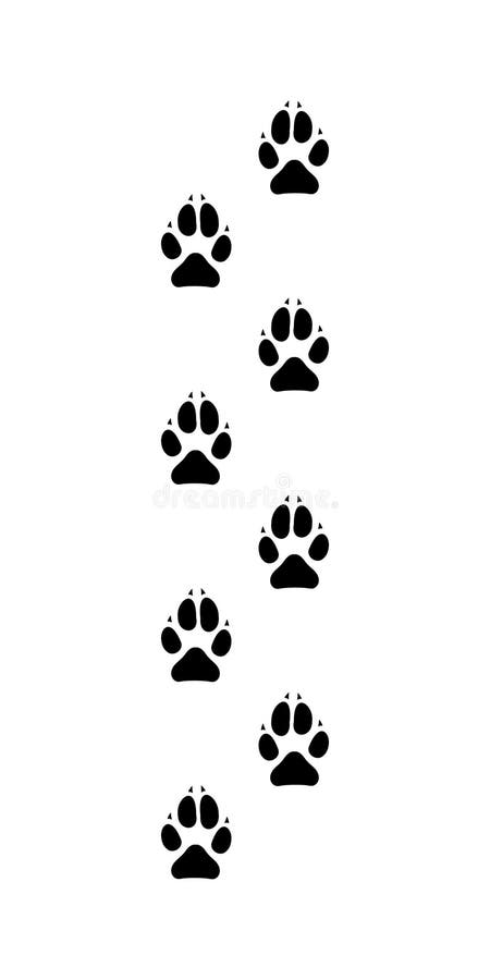 Cat Footprints Silhouette. Animal Footprints Stock Vector ...