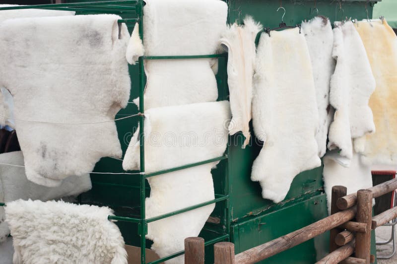Drying Animal Hide, Gorkhi-Terelj National Park, Mongolia Stock Photo ...