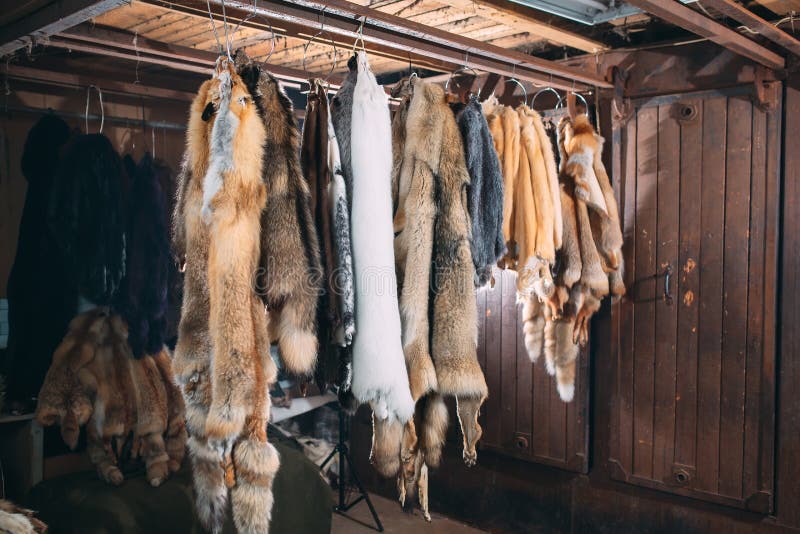 Animal Fur. Foxes, Raccoon, Wolf, Beaver, Mink, Nutria Hanging after ...