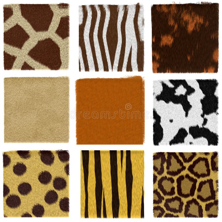 Fur Pattern Set Stock Illustrations – 8,888 Fur Pattern Set Stock ...