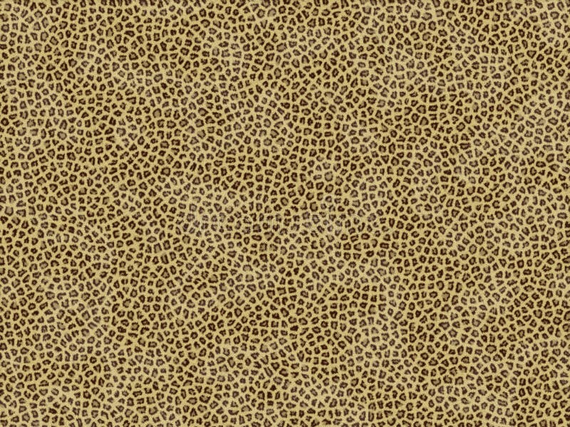 Animal fur texture- jaguar stock illustration. Illustration of jacket ...