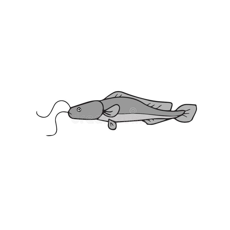 Animal gray fish stock vector. Illustration of vector - 73219637