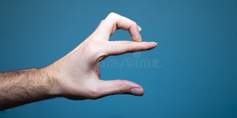 Duck Shadow Puppet Stock Photos - Free & Royalty-Free Stock Photos from ...