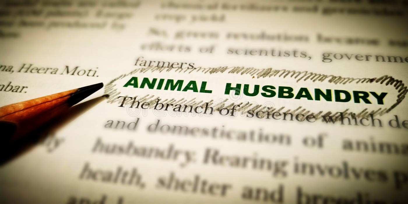 Importance English Language Stock Photos - Free & Royalty-Free Stock ... Importance English Language Stock Photos - Free & Royalty-Free Stock ...