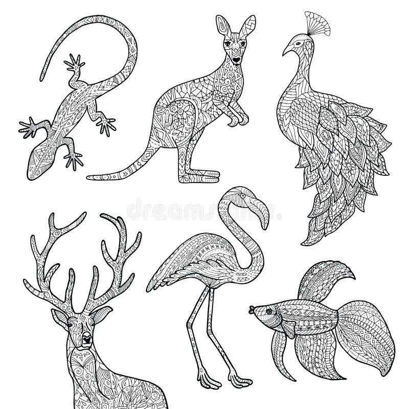 Kangaroo Border Stock Illustrations – 475 Kangaroo Border Stock ...