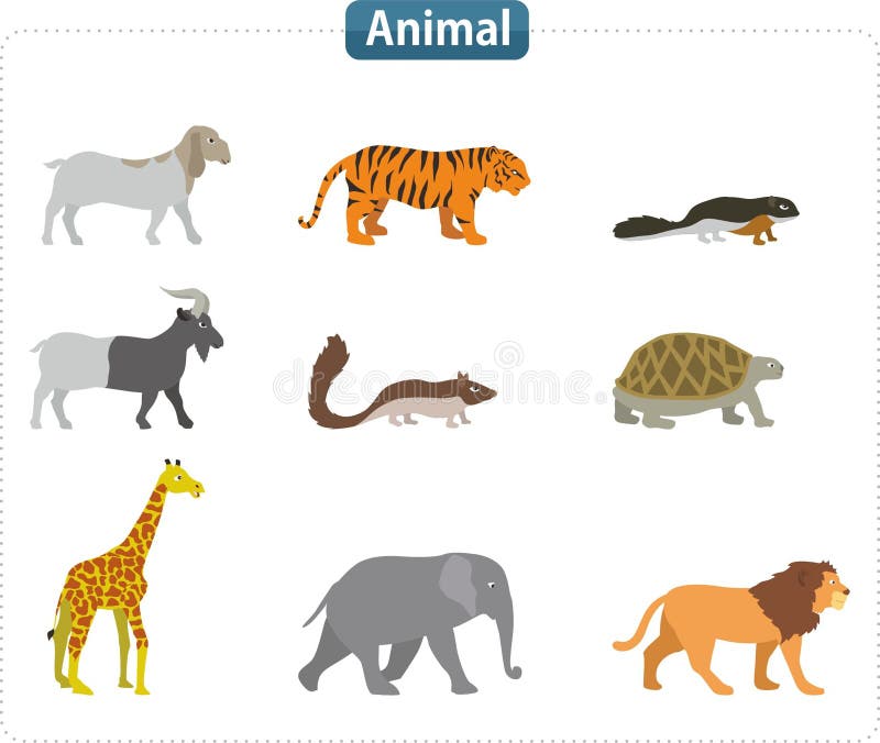 Animal Illustration stock vector. Illustration of modern - 79704984