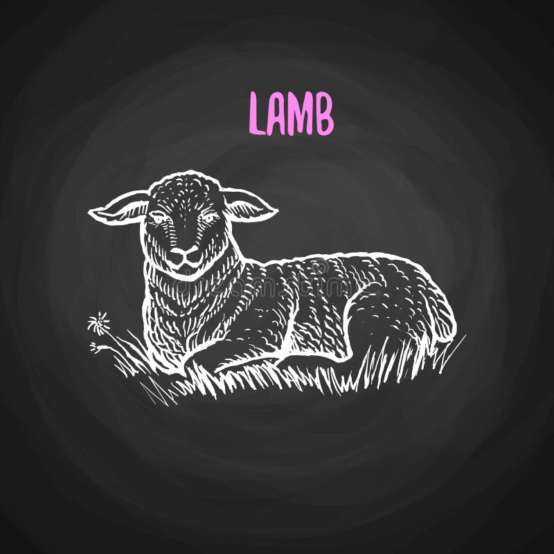 Animal Zoo Lamb Sheep Style Font Letters Words Word Alphabet ...