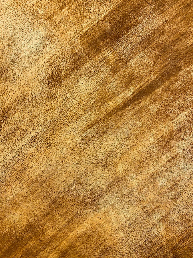 Animal Leather Rawhide Texture Stock Photo - Image of feather, backdrop ...