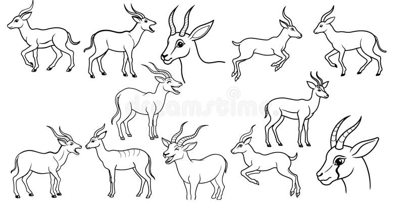 Animal Line Art Design ,vector Design Stock Vector - Illustration of ...