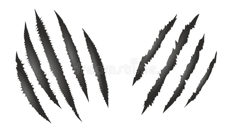 Animal or Monster Scratch Claws. Set of Claws Paw Stock Vector ...