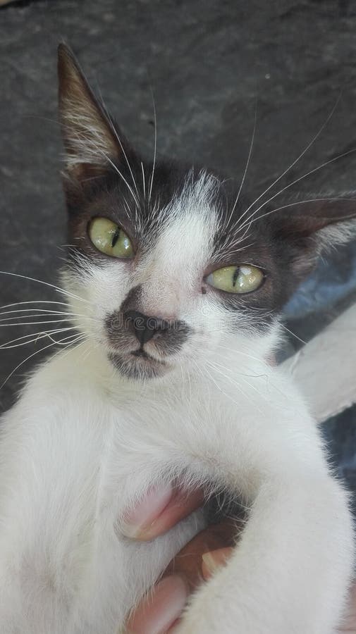 Tity Plcs Stock Photos - Free & Royalty-Free Stock Photos from Dreamstime