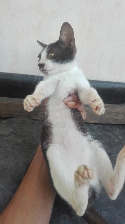 Tity Plcs Stock Photos - Free & Royalty-Free Stock Photos from Dreamstime