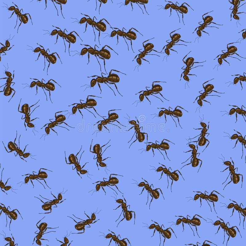 Animal Pattern. Ant Isolated Stock Vector - Illustration of exterminate ...