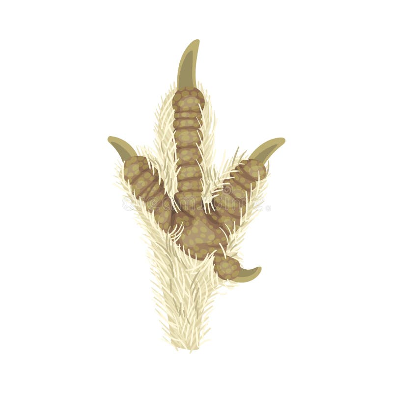 Hen Claws Stock Illustrations – 206 Hen Claws Stock Illustrations ...