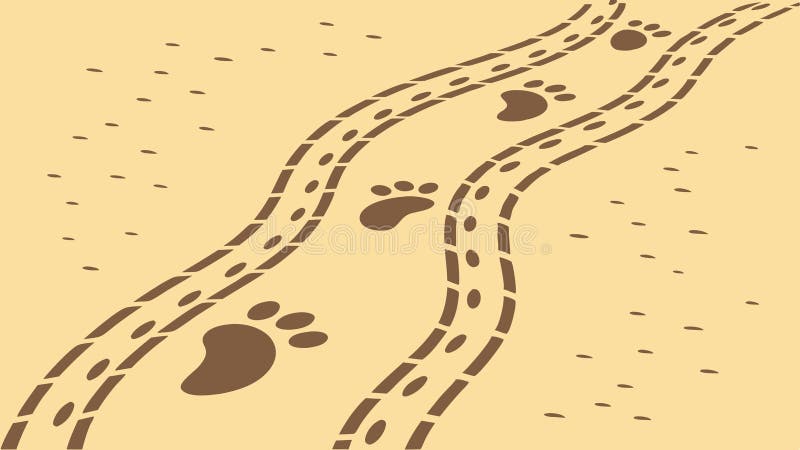 Animal Paw Prints on Sandy Path, Symbolizing Wilderness and Tracking ...