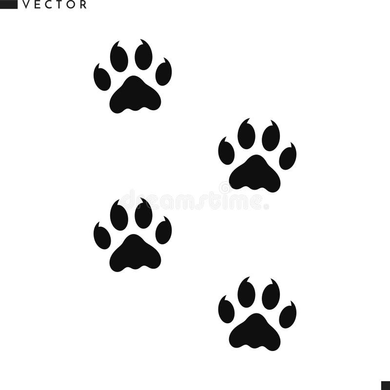 Animal Paw Prints. Sumatran Tiger Paw Prints Stock Vector ...
