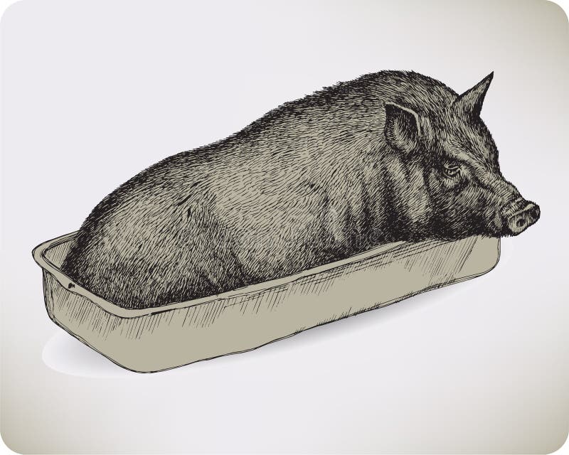 Pig Trough Stock Illustrations – 123 Pig Trough Stock Illustrations ...