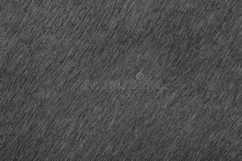 Animal pony skin close-up stock photo. Image of rural - 90736212