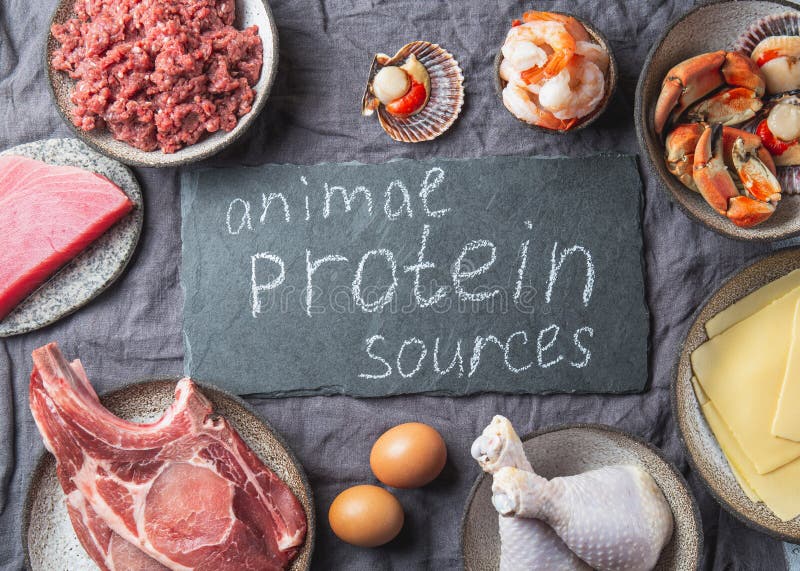 Animal Protein Sources Background with Copy Space. Carnivore Diet ...