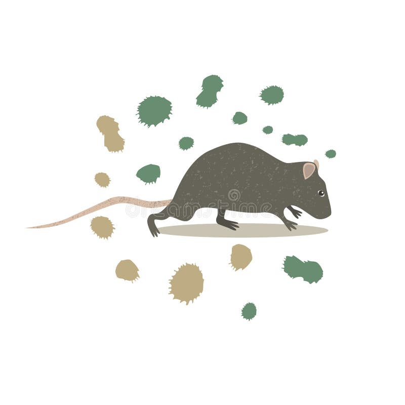 Animal rat clip art stock vector. Illustration of rats - 89775947