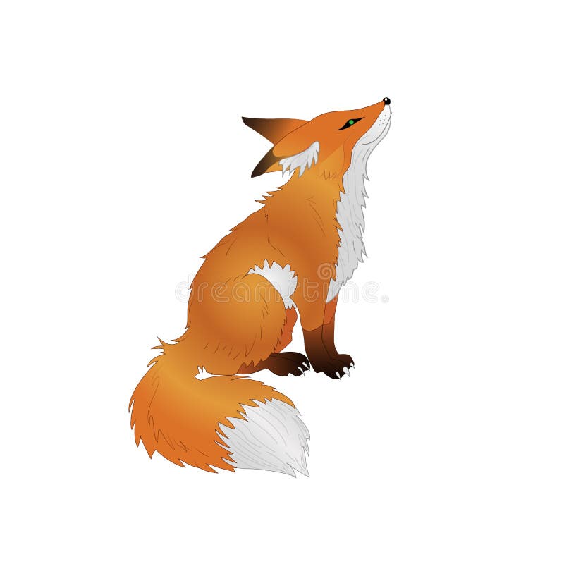 Animal Red Fox Vector Illustration Stock Vector - Illustration of ...