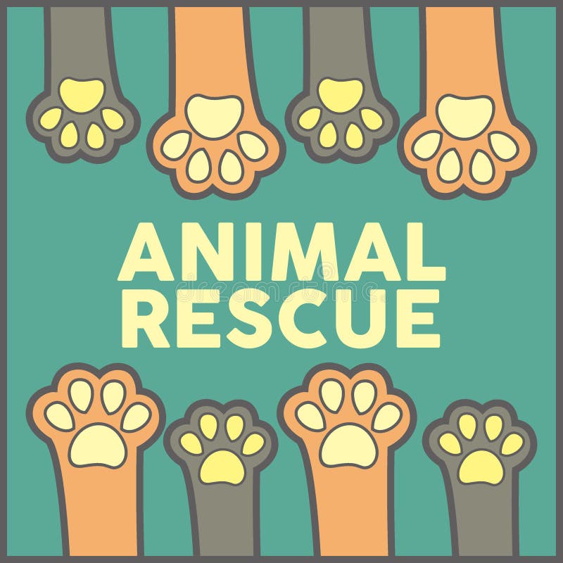 160+ Animal rescue Free Stock Photos - StockFreeImages
