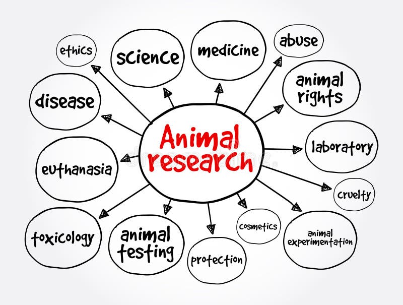 Animal Research Mind Map, Concept for Presentations and Reports Stock ...