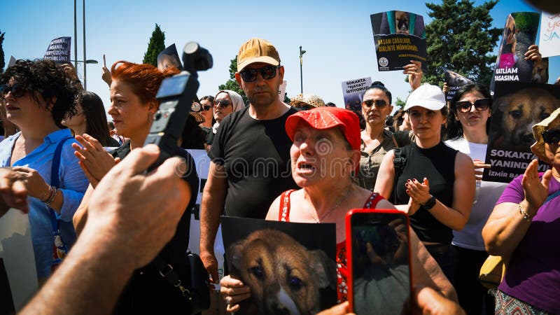 Animal Rights Activists Held a Rally Across Turkey, Izmir - 02 Jun 2024 ...