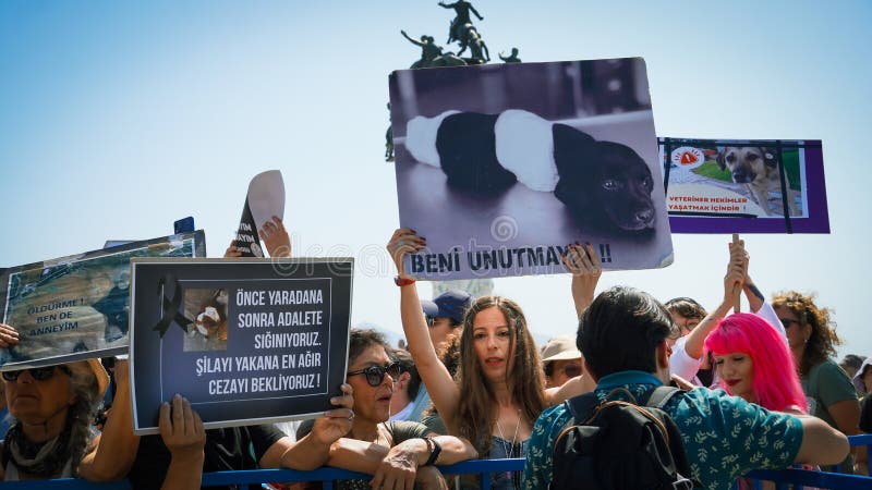 Animal Rights Activists Held a Rally Across Turkey, Izmir - 02 Jun 2024 ...