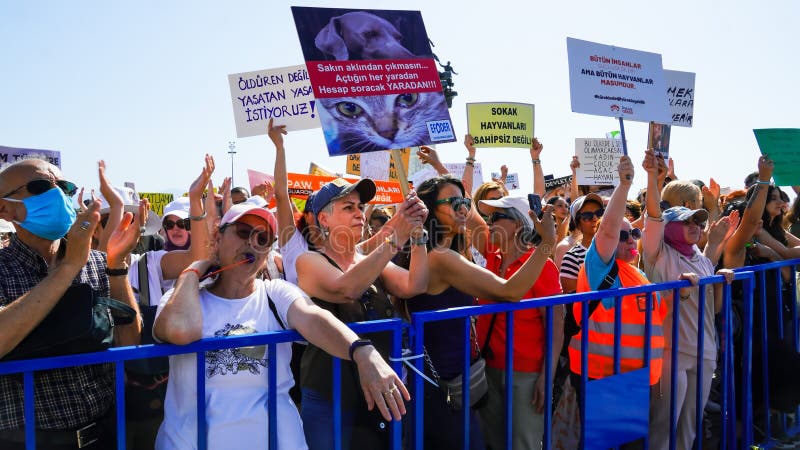Animal Rights Activists Held a Rally Across Turkey, Izmir - 02 Jun 2024 ...