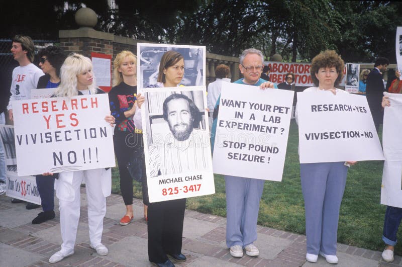 Animal Rights Activist at UCLA Protest Editorial Image - Image of rally ...