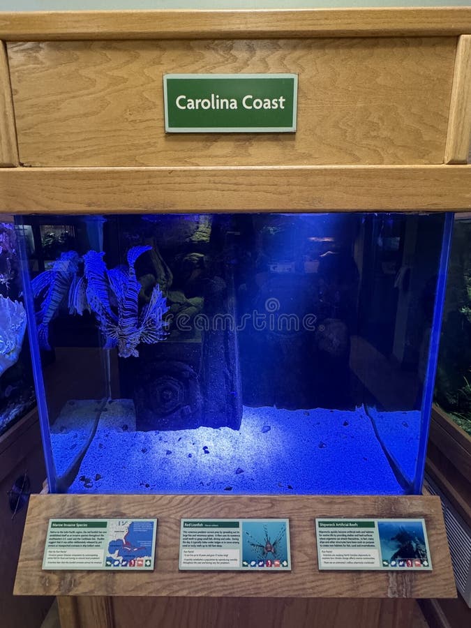 Animal Room at the Sciencenter in Ithaca, New York Editorial Stock ...