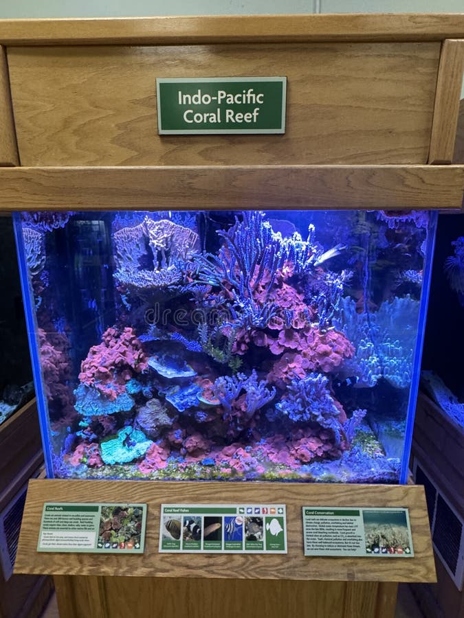 Animal Room at the Sciencenter in Ithaca, New York Editorial ...