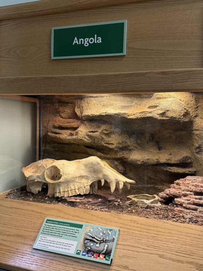 Animal Room at the Sciencenter in Ithaca, New York Editorial Stock ...