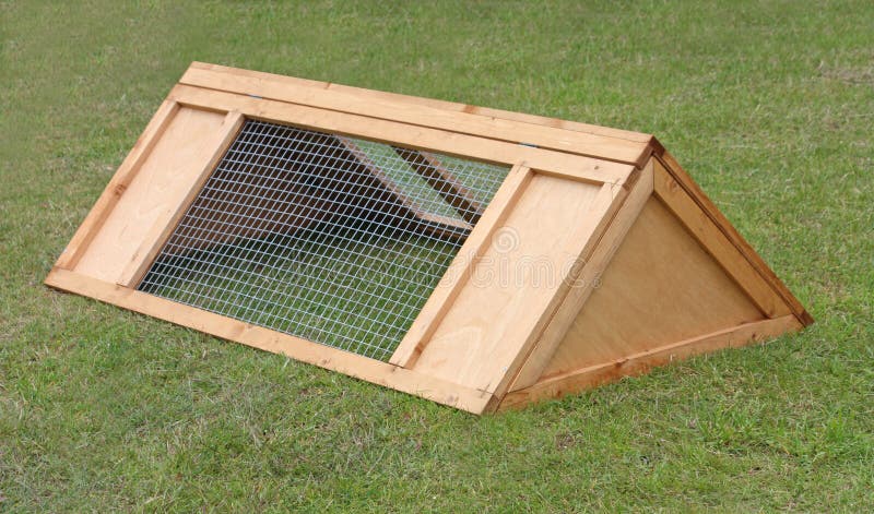 Animal Run. stock photo. Image of rural, wooden, countryside - 22113620