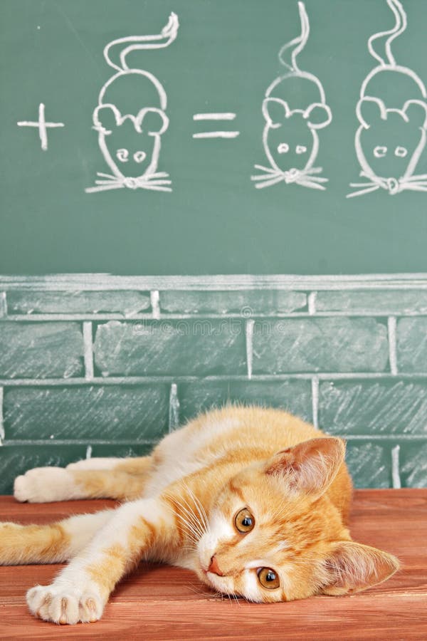 Animal school stock photo. Image of knowledge, brick - 61116788