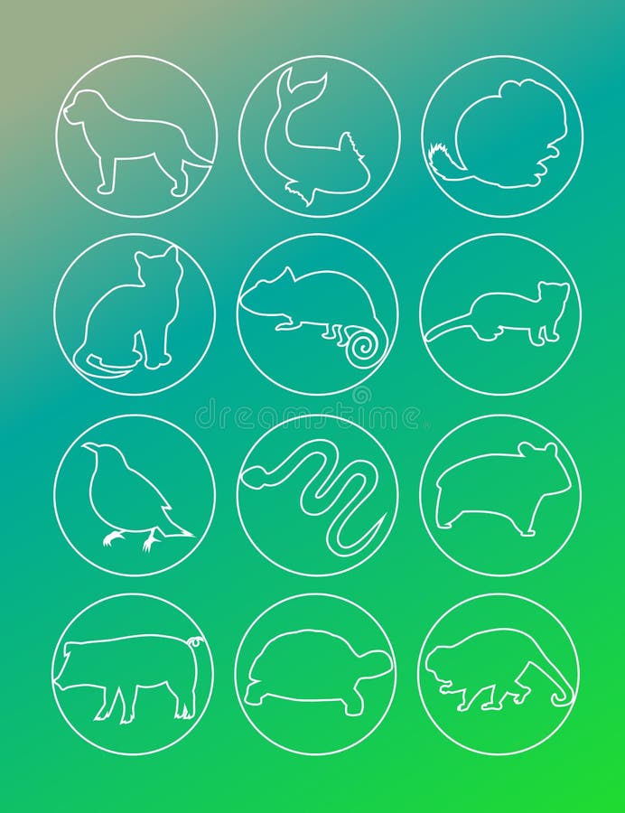 Animal set icon stock vector. Illustration of chameleon - 50672023