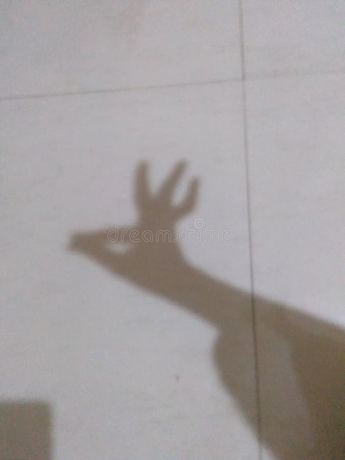 The animal shadow pic 3 stock photo. Image of indian - 152560492