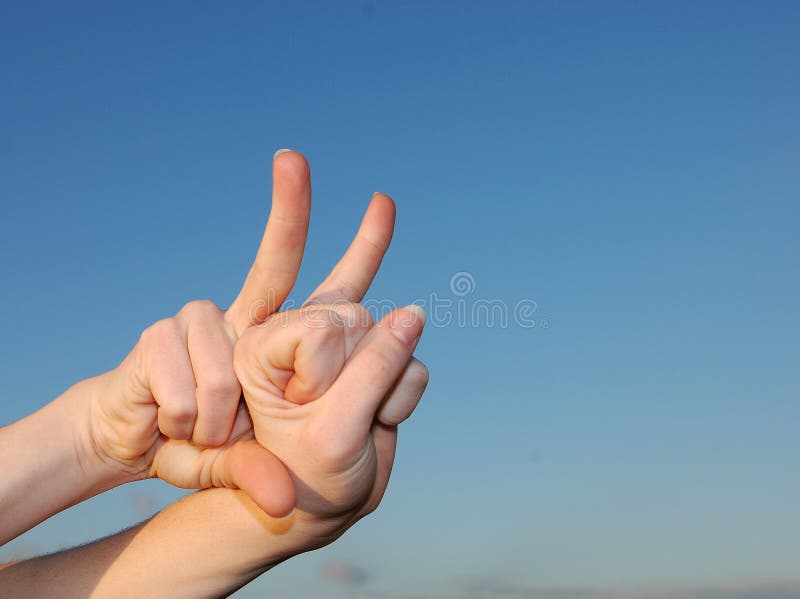 Animal shape hand stock photo. Image of fingers, nature - 7657668