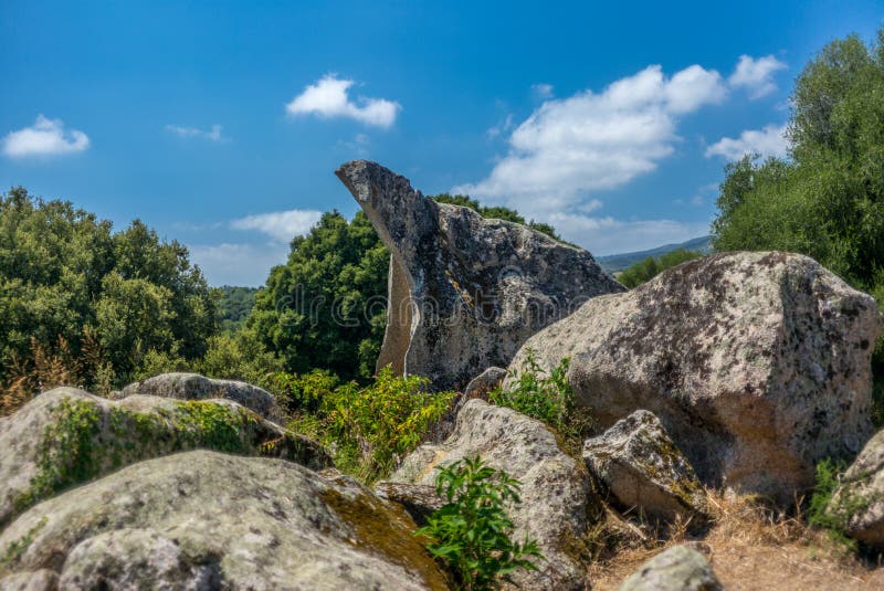 Animal Shaped Rock Formations in Corsica - 3 Stock Photo - Image of ...