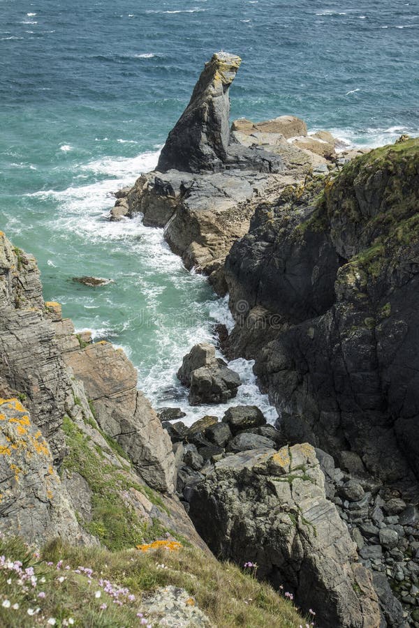 Animal Shaped Rock at Lizard Point in Cornwall Stock Image - Image of ...