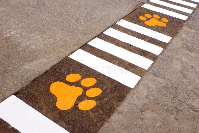 Animal sign on the street. stock image. Image of route - 121131531