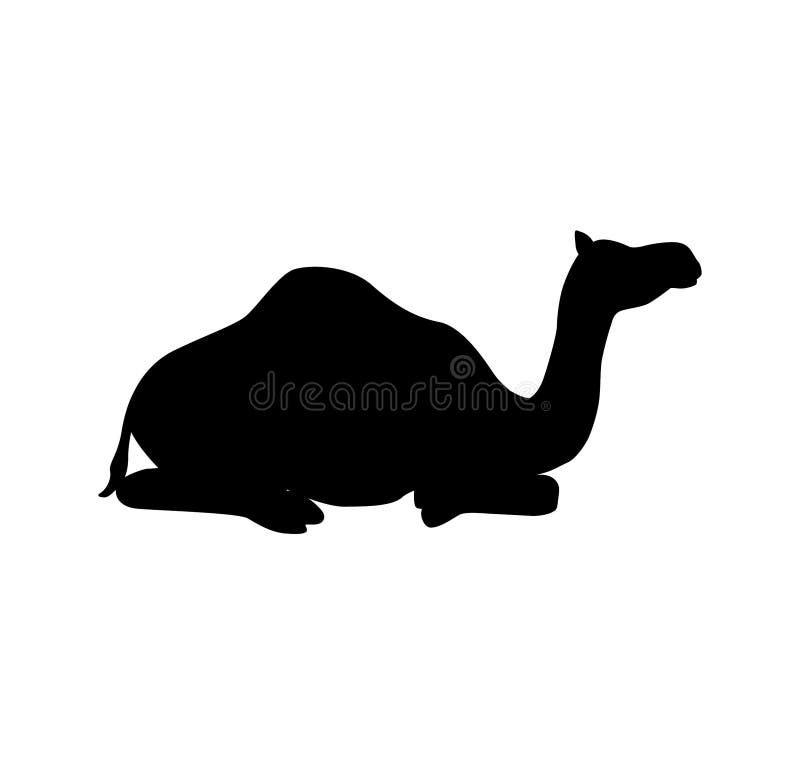 Animal Silhouette Sitting Camel Illustration Minimal Creative Art Stock ...