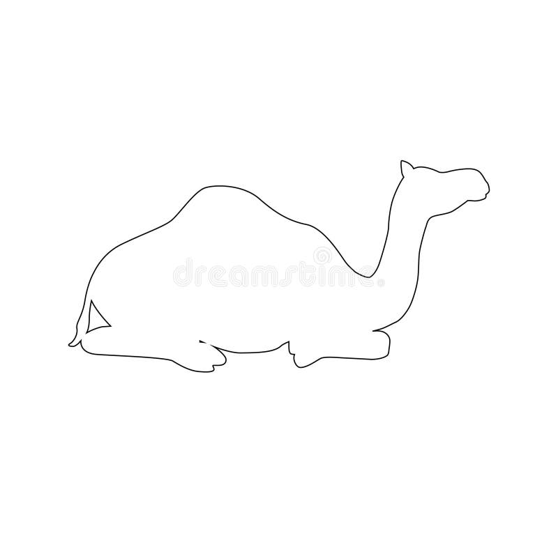Animal Silhouette Sitting Camel Illustration Minimal Creative Art Stock ...