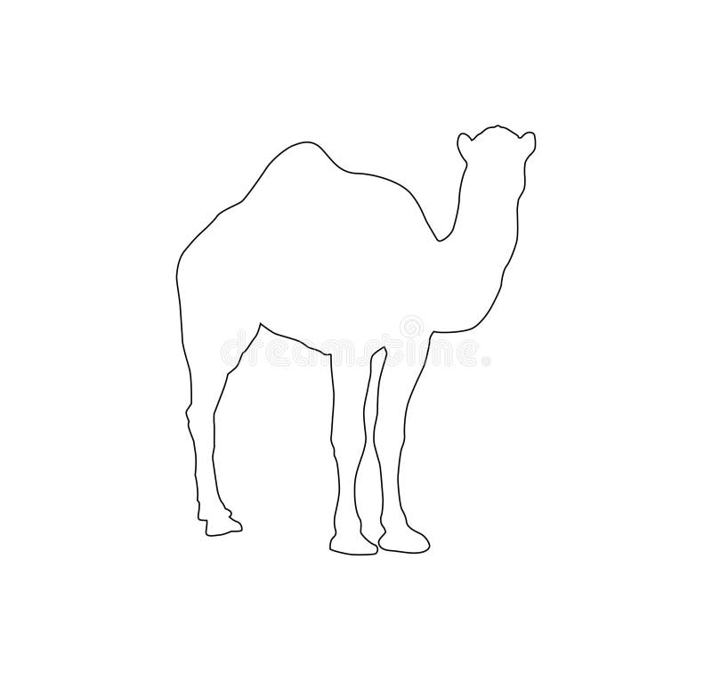 Animal Silhouette Walking Camel Illustration Minimal Creative Art Stock ...