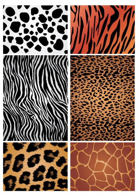 Animal skin stock vector. Illustration of wildlife, skin - 10176623