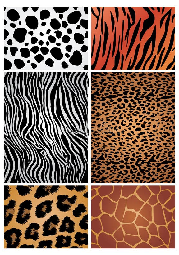 Animal skin stock vector. Illustration of wildlife, skin - 10176623