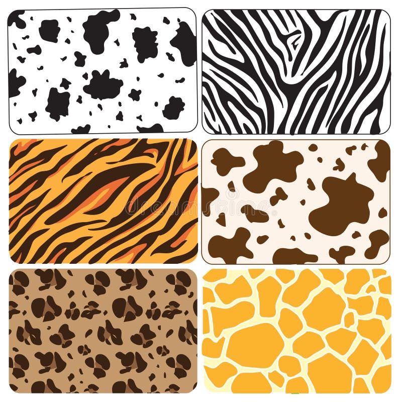Animal skin stock vector. Illustration of zebra, vector - 6415363