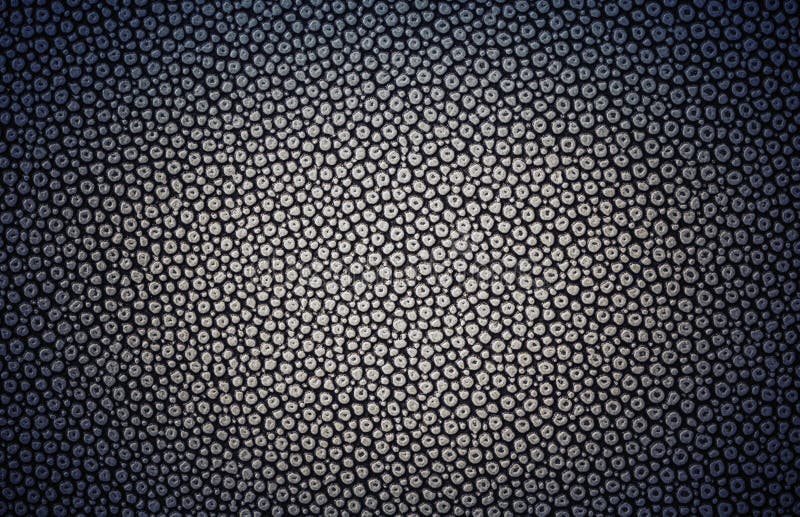Animal Skin Leather Texture Stock Image - Image of textile, crocodile ...