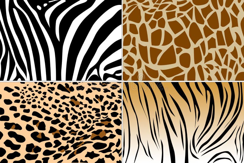 Animal Skin Texture